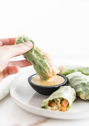 Thai Peanut Chicken Salad Spring Rolls - Lively Table