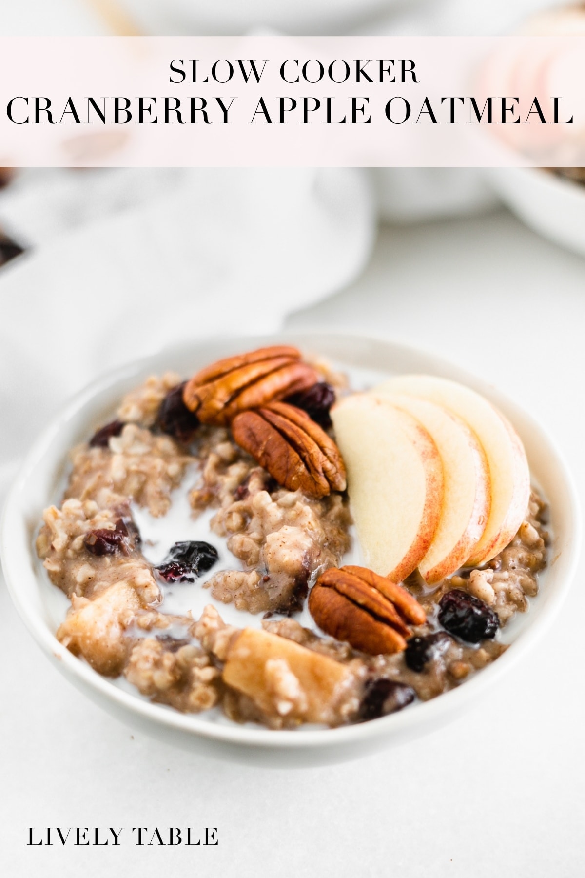 Overnight Slow Cooker Cranberry Apple Oatmeal - Lively Table