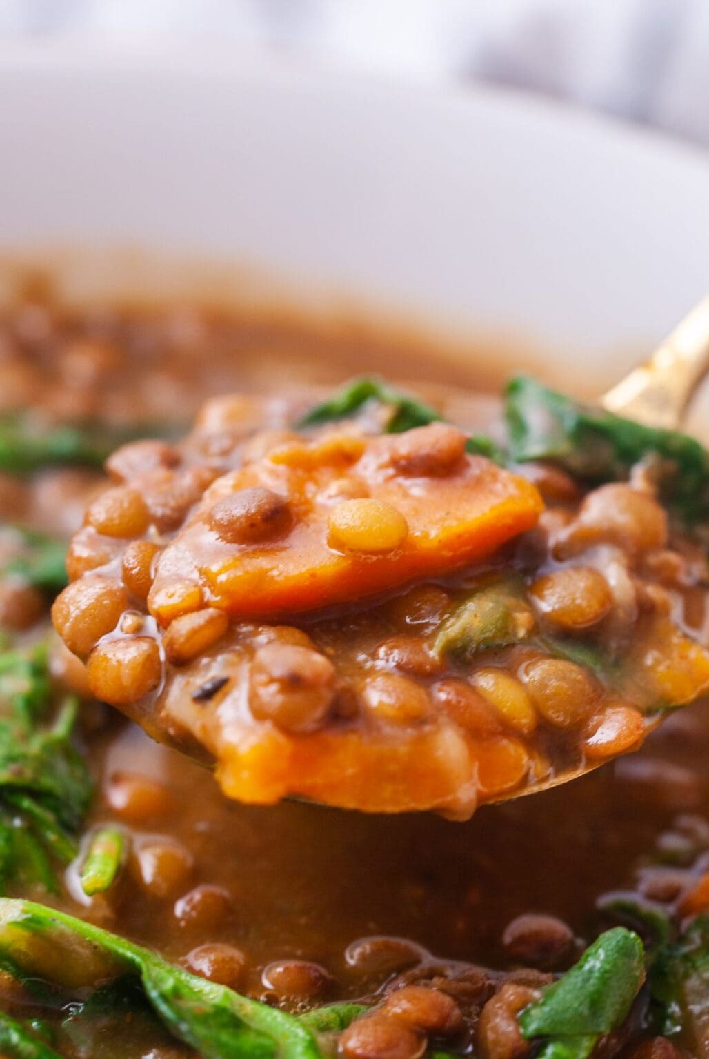 Sopa de Lentejas: A Hearty Mexican Lentil Soup Made Easy in the Instant Pot